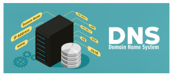 访问后端_DNS客户端-【官方】百战程序员_IT在线教育培训机构_体系课程在线学习平台